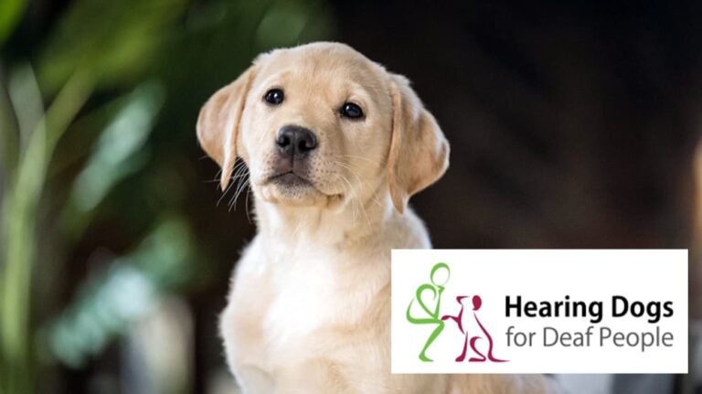Hearing Dogs for Deaf People - Sussex Audiology Centre